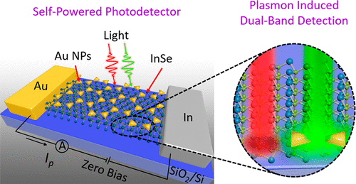 A Dual-Band Multilayer InSe Self-Powered Photodetector with High Performance Induced by Surface ...