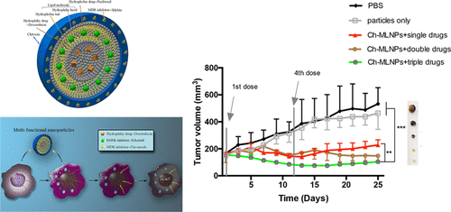 Multifunctional Nanosystem for Targeted and Controlled Delivery of ...
