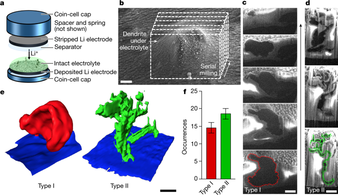 Cryo-STEM mapping of solid–liquid interfaces and dendrites in lithium ...