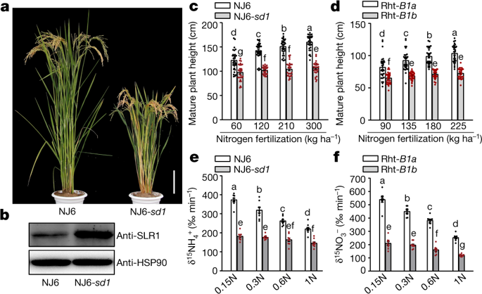 Modulating plant growth–metabolism coordination for sustainable ...