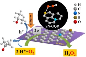 Highly selective photocatalytic production of H2O2 on sulfur and ...