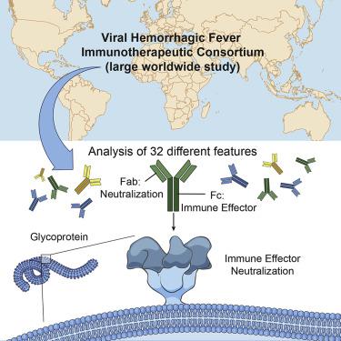 Systematic Analysis of Monoclonal Antibodies against Ebola Virus GP ...