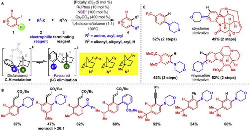 Bridgehead-Modified NBEs: A Solution to ortho-Constraint in Catellani ...
