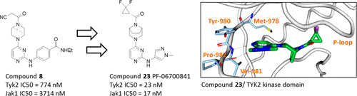Dual Inhibition of TYK2 and JAK1 for the Treatment of Autoimmune ...