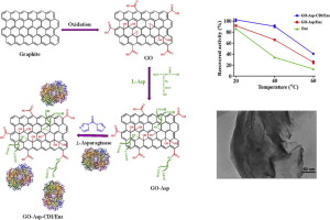Immobilization of l-asparaginase on aspartic acid functionalized ...