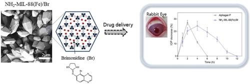 Metal-organic Frameworks, NH2-MIL-88(Fe), as Carriers for Ophthalmic ...