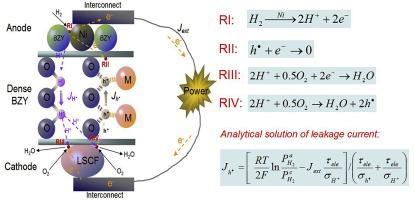 Mathematical modeling of a proton-conducting solid oxide fuel cell with current leakage,Journal ...