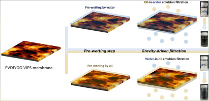Graphene oxide/PVDF VIPS membranes for switchable, versatile and ...