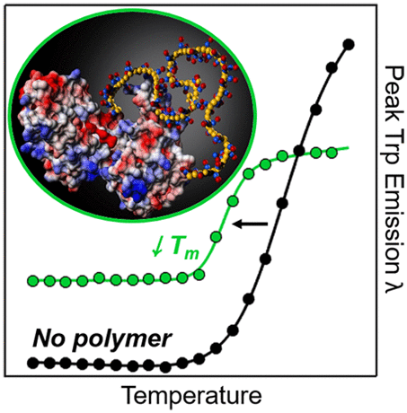 Soluble Zwitterionic Poly(sulfobetaine) Destabilizes Proteins ...