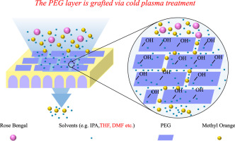 Organic solvent nanofiltration (OSN) membranes made from plasma ...