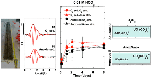 Carbonate Facilitated Mobilization of Uranium from Lacustrine Sediments ...