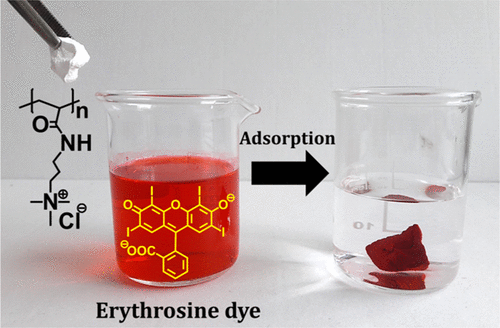 Highly Porous Cationic Polyelectrolytes via Oil-in-Water Concentrated ...