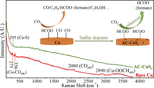 On the Role of Sulfur for the Selective Electrochemical Reduction of ...