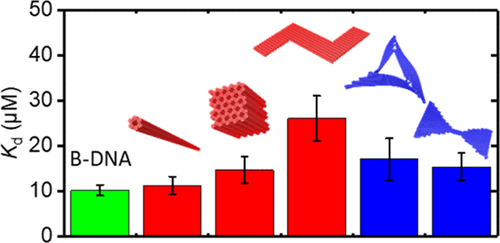 Superstructure-Dependent Loading of DNA Origami Nanostructures with a ...