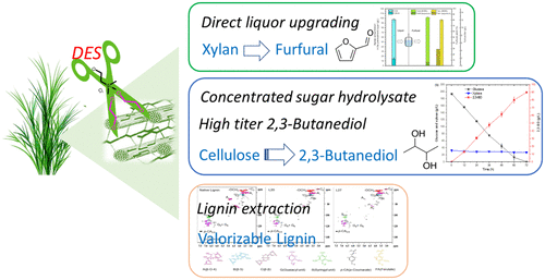 High-Solid Lignocellulose Processing Enabled by Natural Deep Eutectic Solvent for Lignin ...