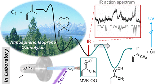 Four Carbon Criegee Intermediate from Isoprene Ozonolysis: Methyl Vinyl ...
