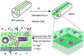 Three-channel capillary NF membrane with PAMAM-MWCNT-embedded inner ...