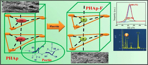 Cubical-Shaped Rods of Pectin–Hydroxyapatite Composite for Adsorption Studies of Fluoride by ...