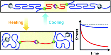 Dynamic reversible bonds enable external stress-free two-way shape memory effect of a polymer ...