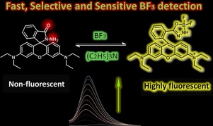 A reversible and colorimetric fluorescence probe for highly sensitive ...