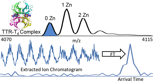 Fourier Transform-Ion Mobility-Orbitrap Mass Spectrometer: A Next ...