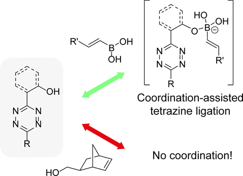 Highly Stable and Selective Tetrazines for the Coordination-Assisted ...