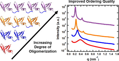 Improved Ordering in Low Molecular Weight Protein–Polymer Conjugates ...