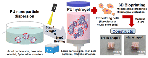 Synthesis and Characterization of Dual Stimuli-Sensitive Biodegradable ...