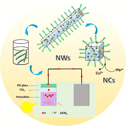Inorganic Ions Assisted the Anisotropic Growth of CsPbCl3 Nanowires ...