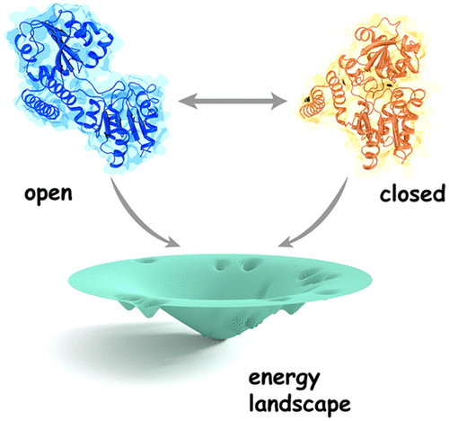 Quantifying the Intrinsic Conformation Energy Landscape Topography of ...