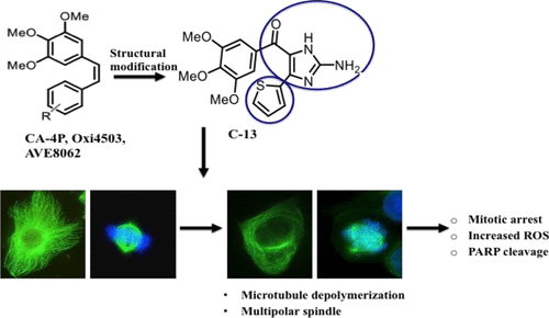 Combretastatin启发的杂环作为抗微管蛋白抗癌药,ACS Omega - X-MOL