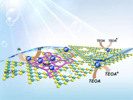 Porous MoP network structure as co-catalyst for H2 Evolution over g ...