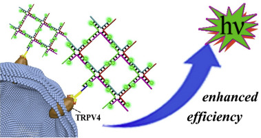 An efficient nonlinear hybridization chain reaction-based sensitive ...