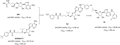 新的Sinefungin衍生物的设计，合成及体外抗寨卡病毒评价,European Journal of Medicinal Chemistry ...