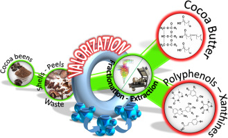Cocoa bean shell waste valorisation; extraction from lab to pilot-scale ...