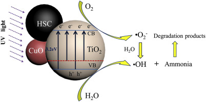 Facile fabrication of hollow biochar carbon-doped TiO2/CuO composites ...