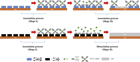 In operando measurements of kinetics of solid electrolyte interphase ...