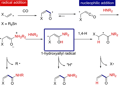 Applications of Radical Carbonylation and Amine Addition Chemistry: 1,4 ...