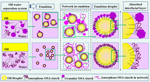 Stabilizing Oil-in-Water Emulsion with Amorphous and Granular Octenyl Succinic Anhydride ...