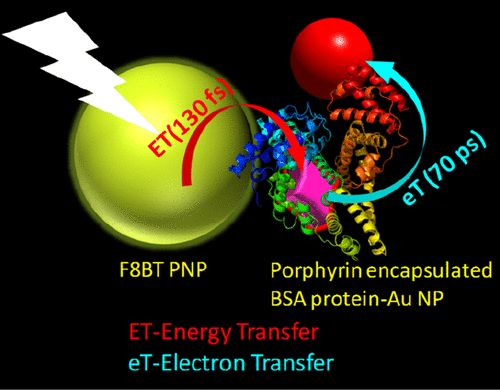 Ultrafast Energy Transfer Followed by Electron Transfer in a Polymeric Nanoantenna-Based Light ...
