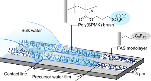 Time Evolution of Precursor Thin Film of Water on Polyelectrolyte Brush ...