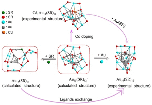 Total Structure Determination of Au16(S-Adm)12 and Cd1Au14(StBu)12 and ...