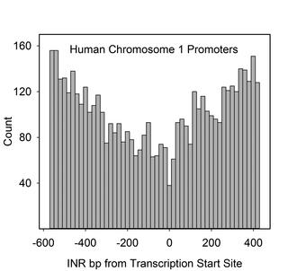 Control of human gene expression: High abundance of divergent ...