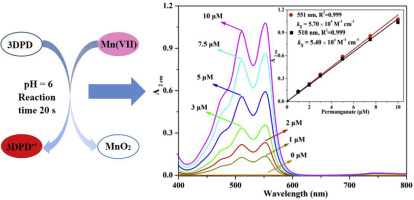 Spectrophotometric determination of trace permanganate in water with N ...