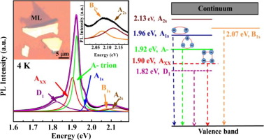 Unraveling Biexciton and Excitonic Excited States from Defect Bound ...