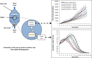 The effect of roller compaction and tableting stresses on ...