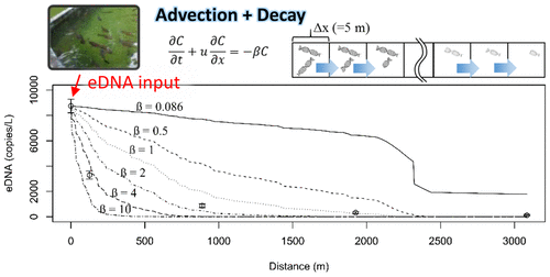 Simulating the Advection and Degradation of the Environmental DNA of ...