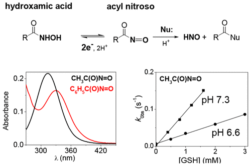 Direct Observation of Acyl Nitroso Compounds in Aqueous Solution and ...