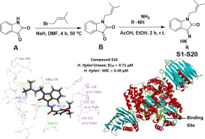 Developing potential Helicobacter pylori urease inhibitors from novel ...