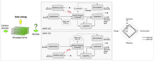 Enviro-economic assessment of thermochemical polygeneration from ...